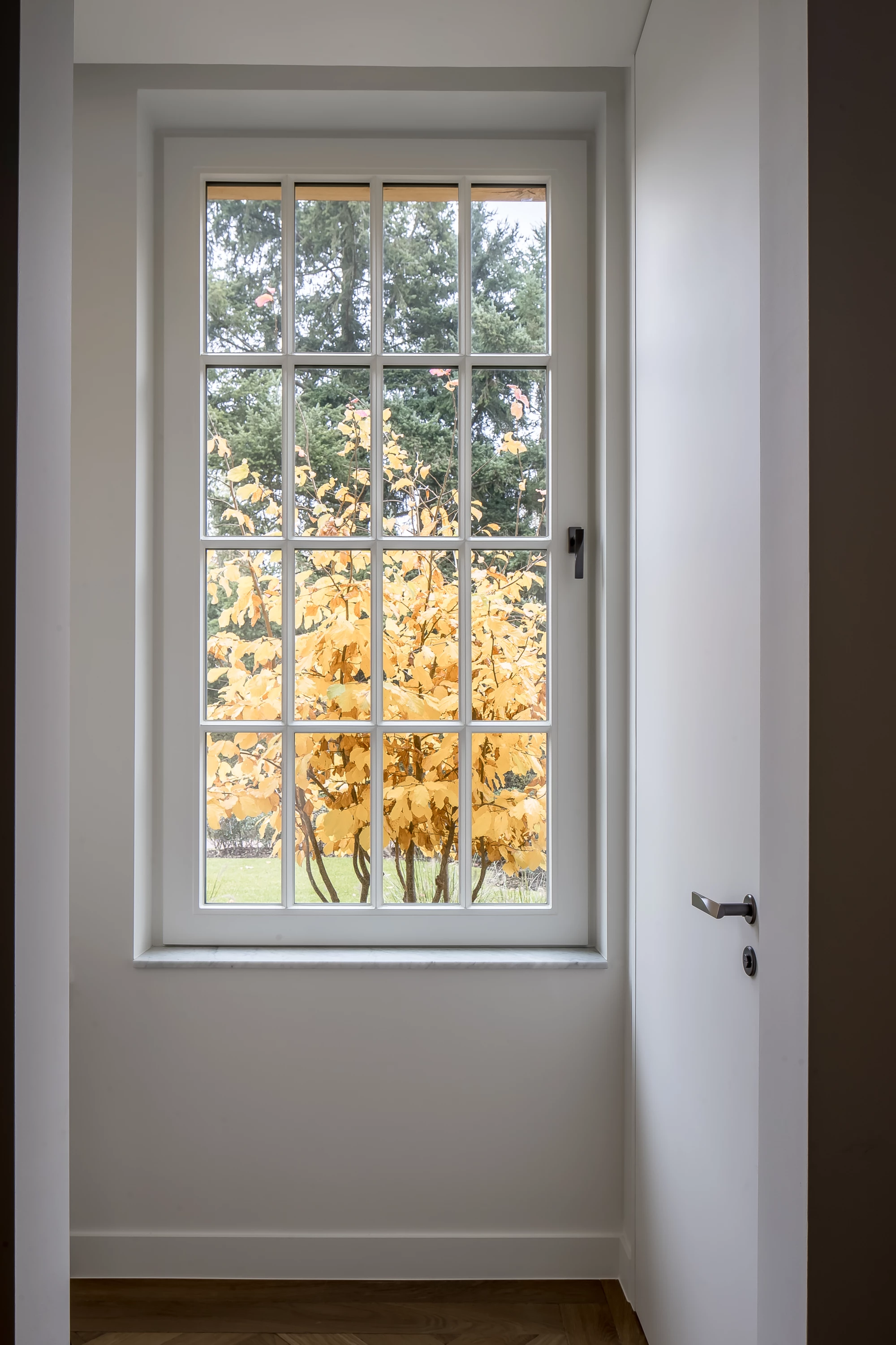 Collection Ballet | Vervloet